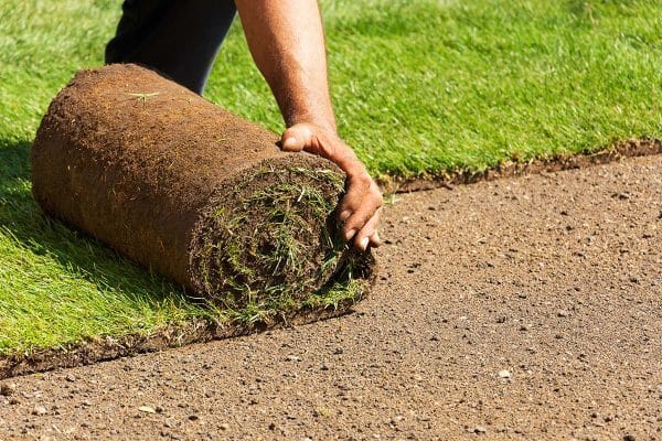 Laying Your Turf: A Step-by-Step Guide | WestCountry Turf